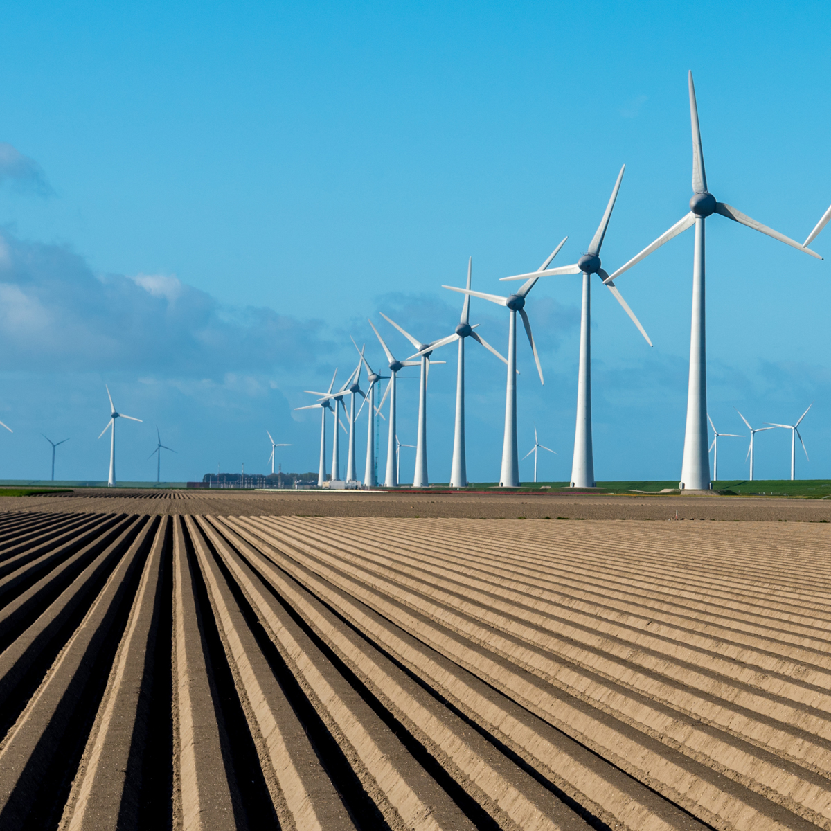 Circular Innovation and Sustainability