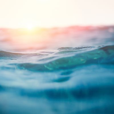 Water Science Institute