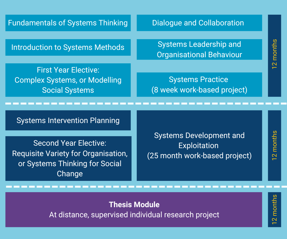 Systems Thinking Practice MSc