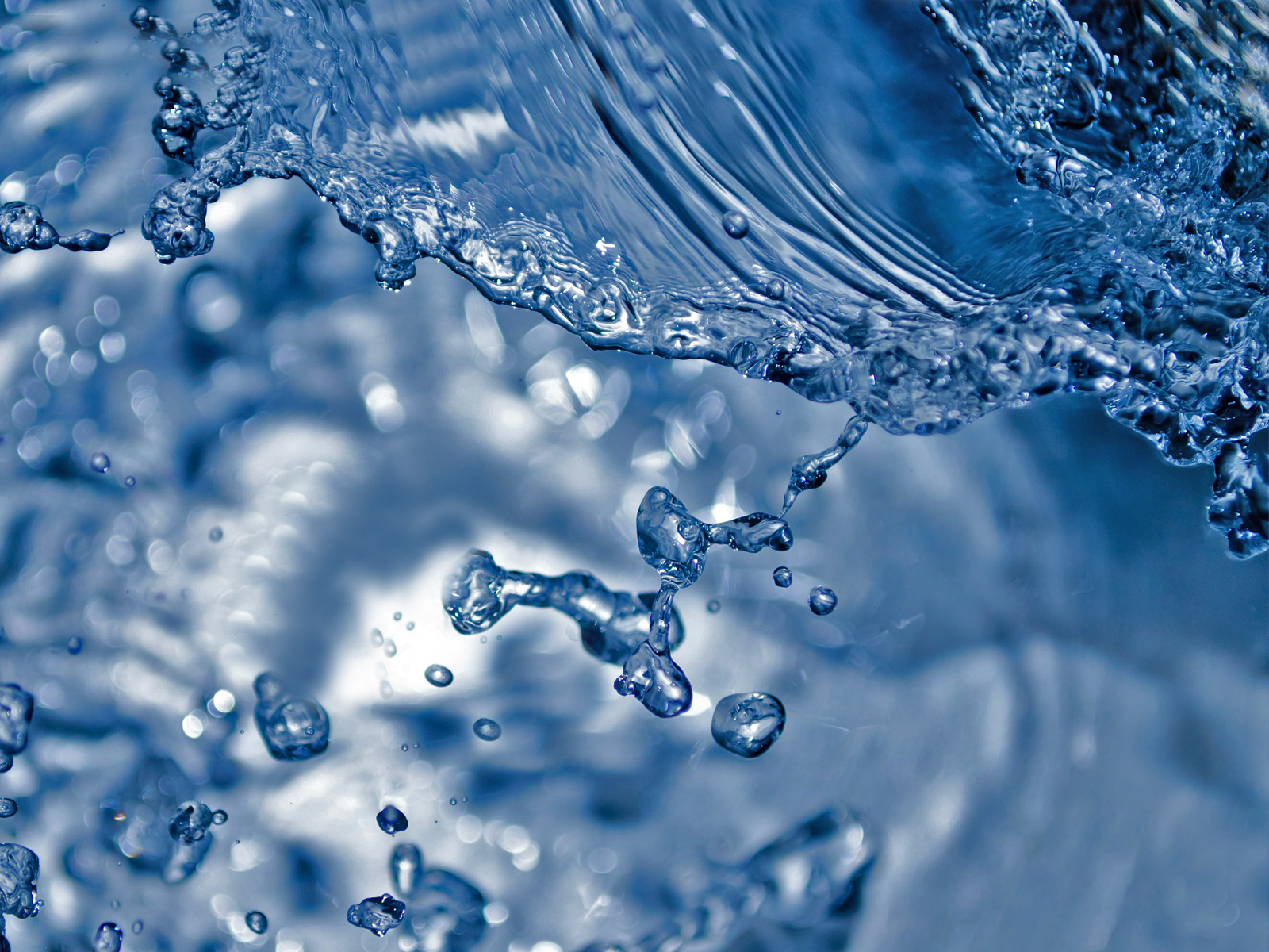 Water Science Institute