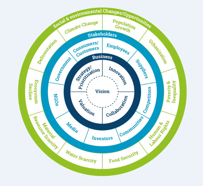Management and Corporate Sustainability MSc